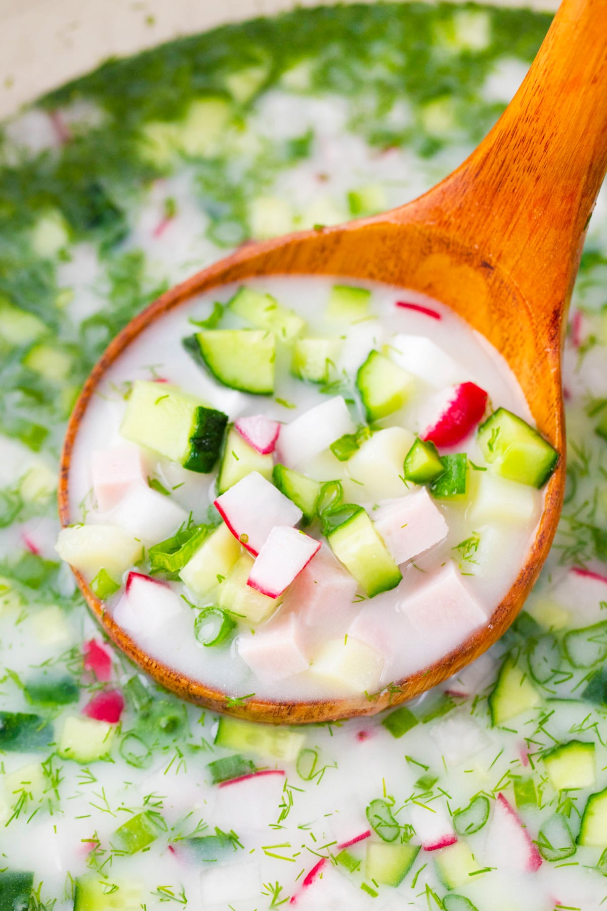 Cold Summer Soup - Russian Okroshka - Sweet and Savory Meals