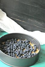 Blueberry French Custard Cake - Sweet and Savory Meals