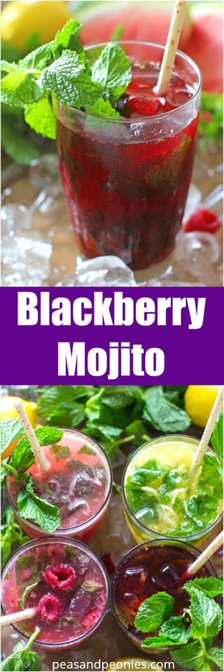 Fruit Mojitos Four Ways [VIDEO] - Sweet and Savory Meals