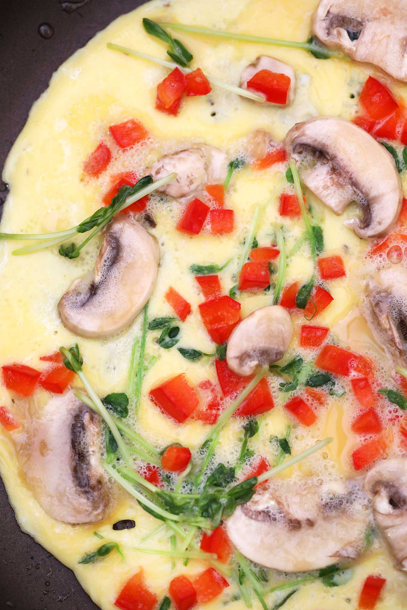 How to Make Egg Foo Young Recipe [Video] - S&SM
