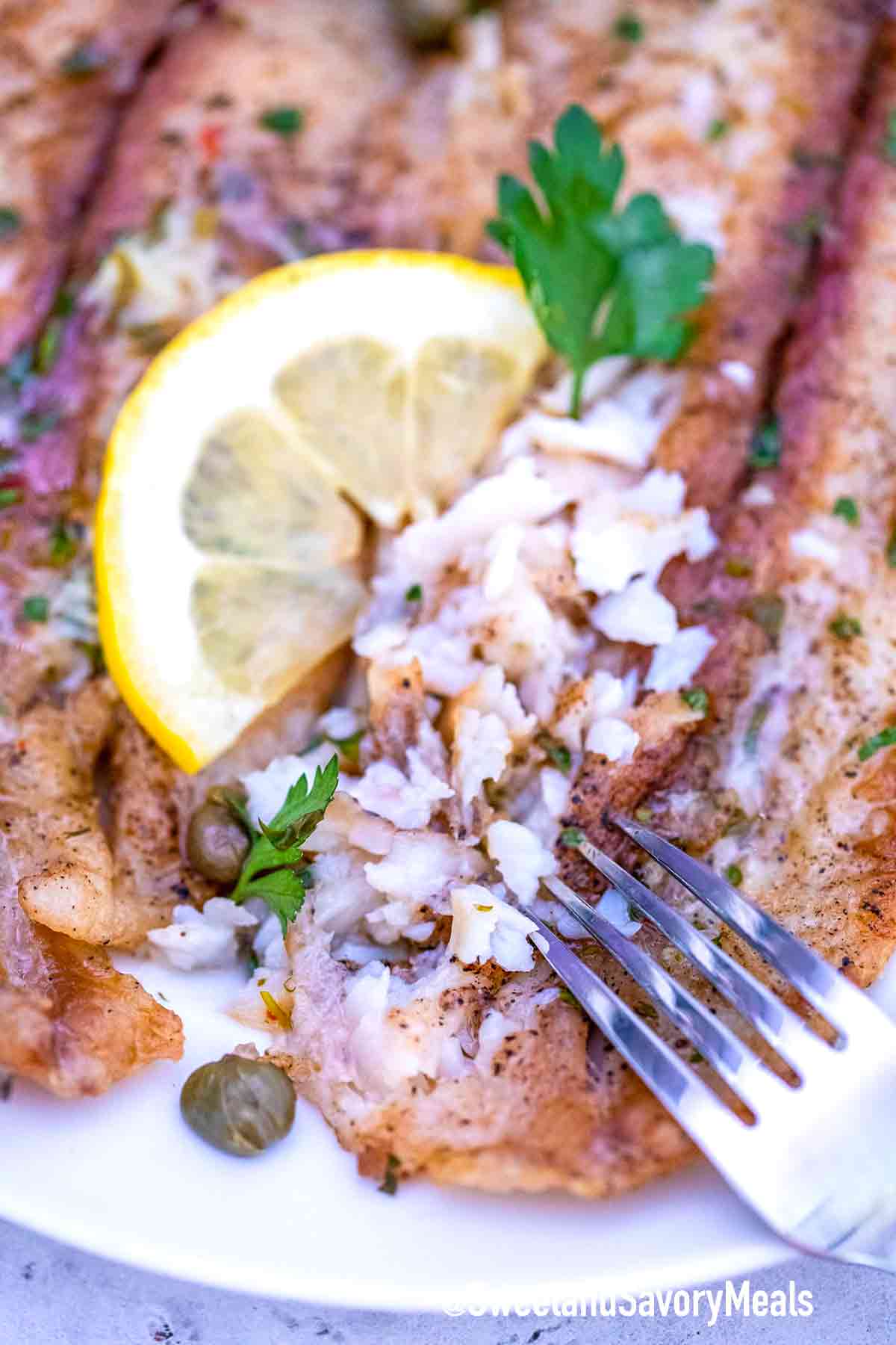 Easy Garlic Butter Swai Fish Recipe [video] - S&SM