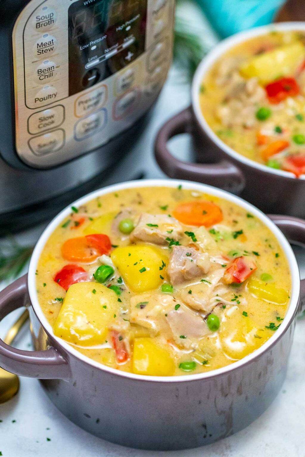 Instant Pot Chicken Stew - Sweet and Savory Meals