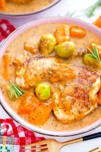 One Pot Roasted Chicken Recipe - S&SM