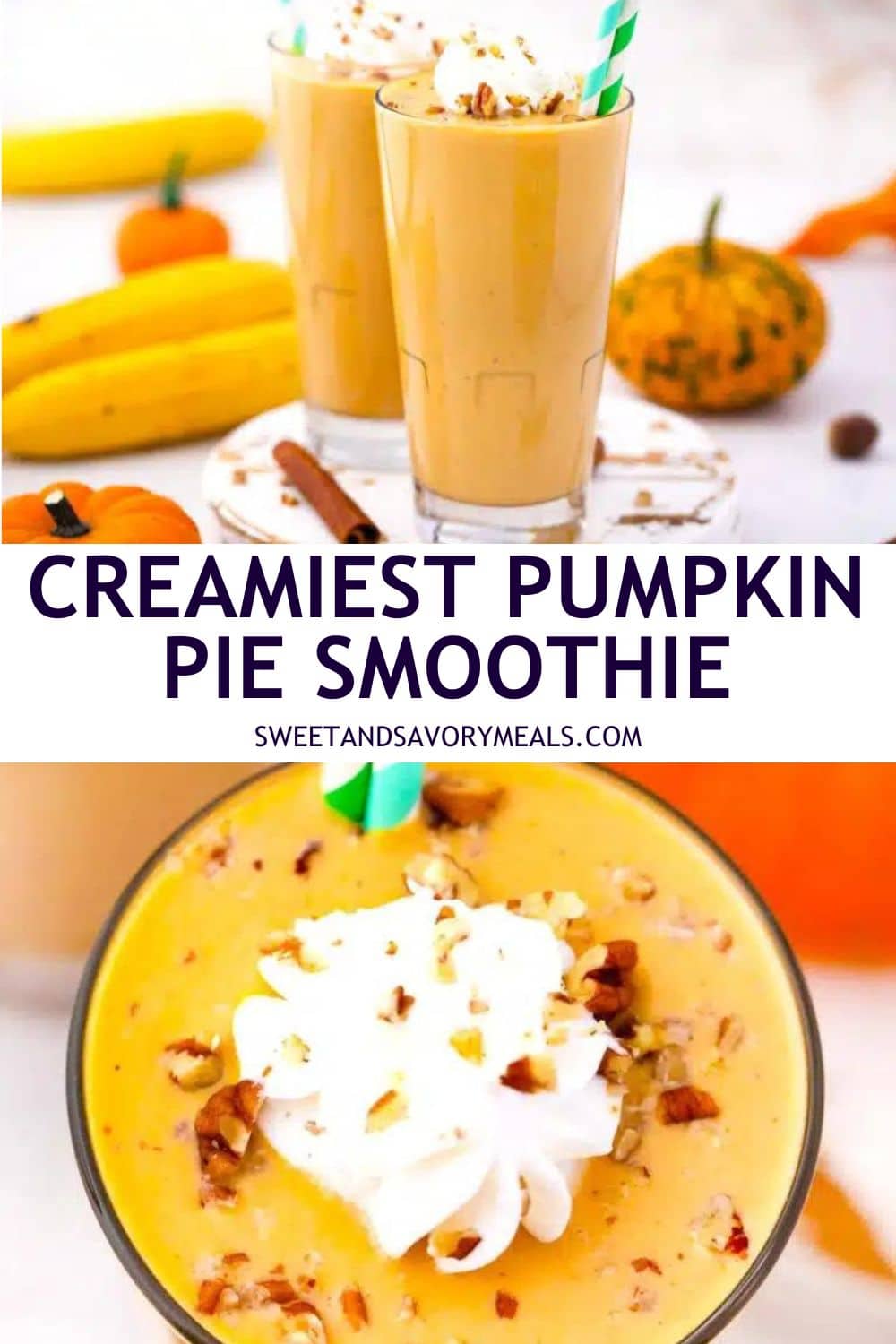 Creamiest Pumpkin Pie Smoothie Recipe - Sweet and Savory Meals
