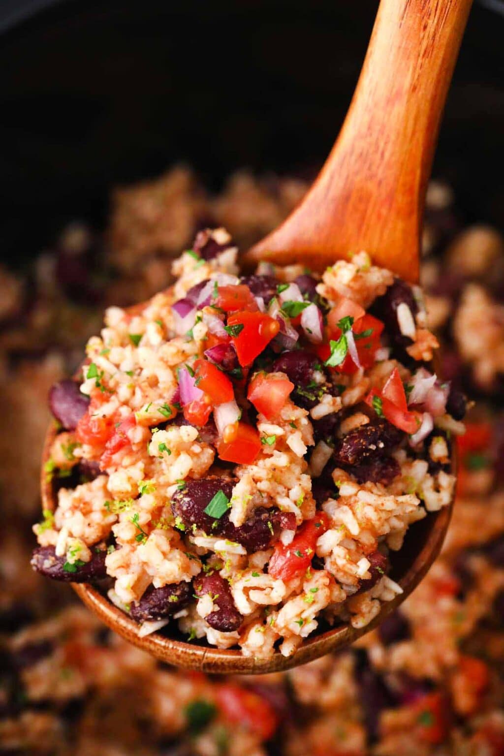 Slow Cooker Rice and Beans Recipe - S&SM
